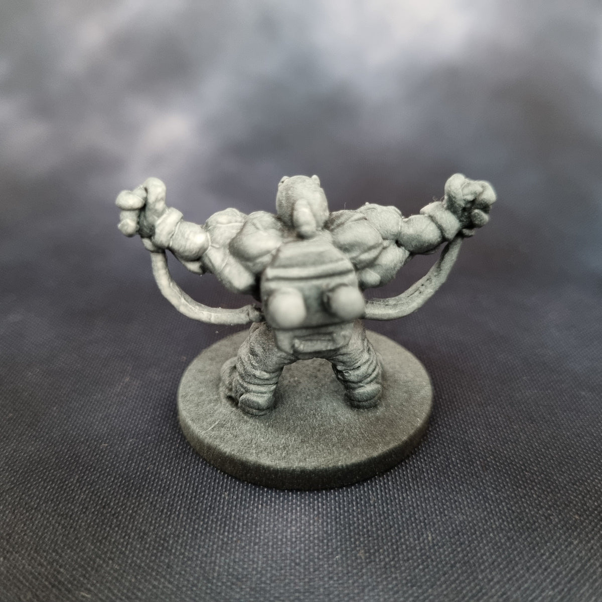 HammerHouse | Payne Dwarf by HammerHouse at $23.00 SGD SGD