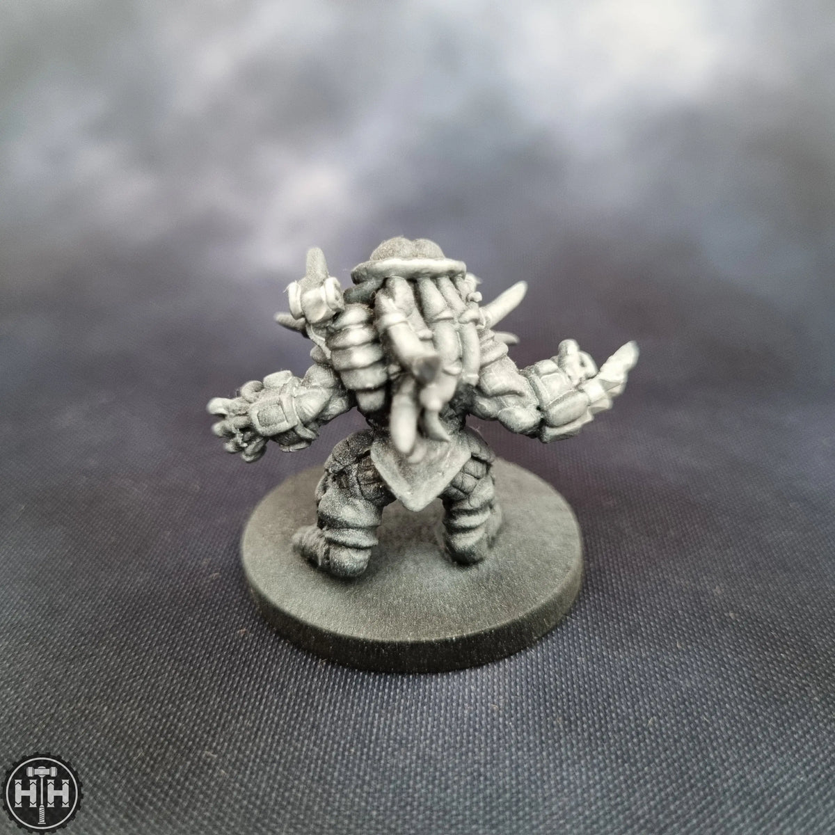 HammerHouse | Predatory Dwarf Open Mouth by HammerHouse at $23.00 SGD SGD